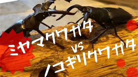 Vs Youtube