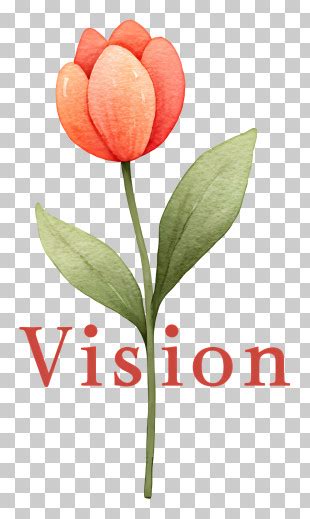 Saudi Vision 2030 Logo Vision 2030 Saudi Arabia Logo Png