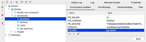 Docker—goland