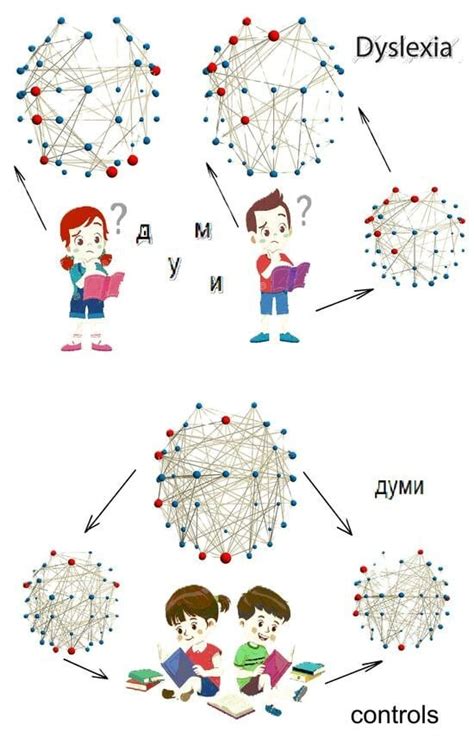 Role Of Sex In Shaping Brain Network Organization During Reading In