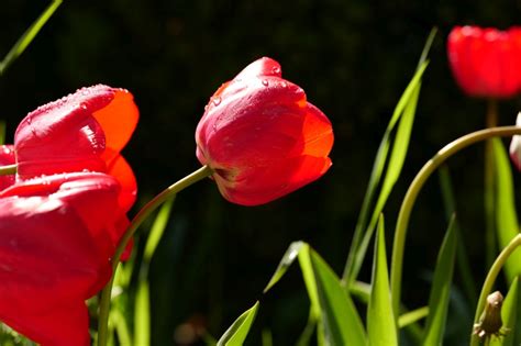 Adapting Oneself Aicomo Adapting Oneself Aicomo