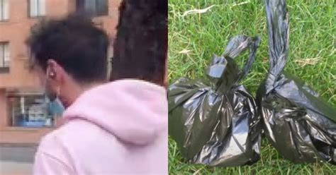 Se Viraliza Nueva Pelea Por No Recoger El Excremento De Un Perro En Las