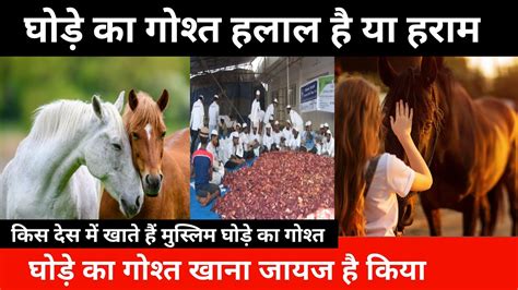 Ghode Ka Gosht Halal Hai Ya Haram Ghode Ka Gosht Khana Jaiz Hai Rh