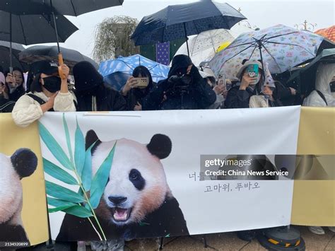 People Attend A Farewell Ceremony For Giant Panda Fu Bao At Everland