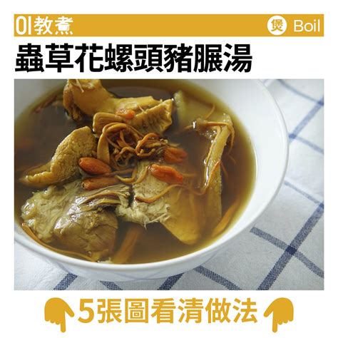 冬天湯水食譜︳螺頭蟲草花雞湯滋陰養腎 怎樣處理急凍螺頭提鮮？｜醫師easy
