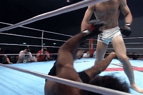 Play Eye Of The Tiger Cause He Grew Up Album On Imgur