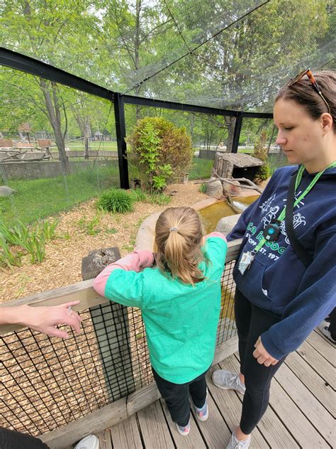 Syble Hopp School Kangaroos Syble Hopp School Kangaroos