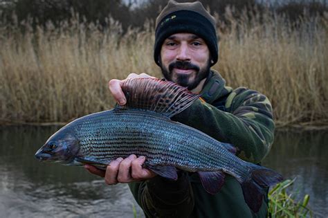 Daniel Woolcott Drennan International