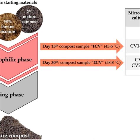 Composting Scheme And Experimental Design Of Microbial Isolation Of Download Scientific Diagram