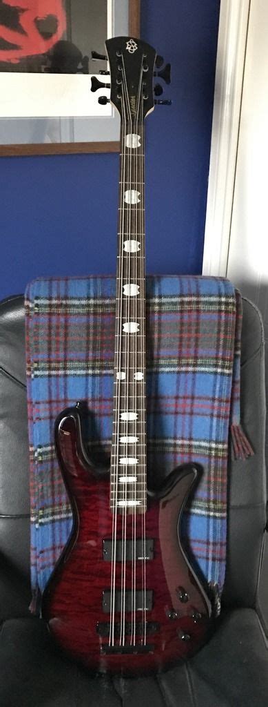 Pin On 8 String Bass