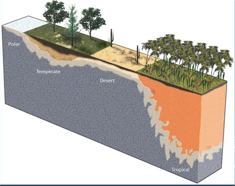 Properties Of Soil Guided Notes Flashcards Quizlet