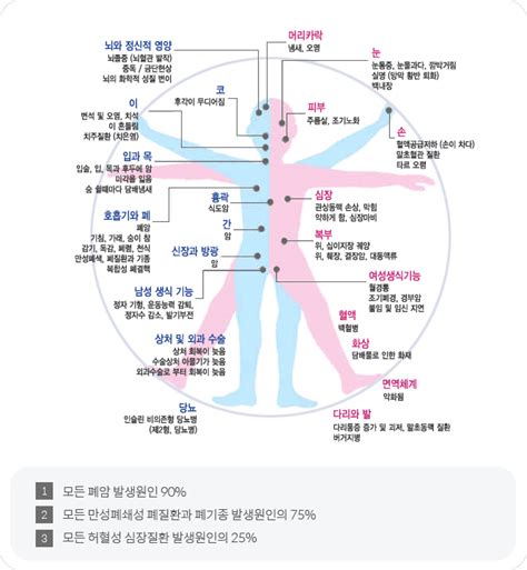 더쿠 담배 흡연 2차 3차 간접흡연의 위험성과 건강에 미치는 영향