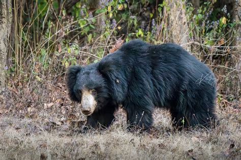 Kathy Doty Photography