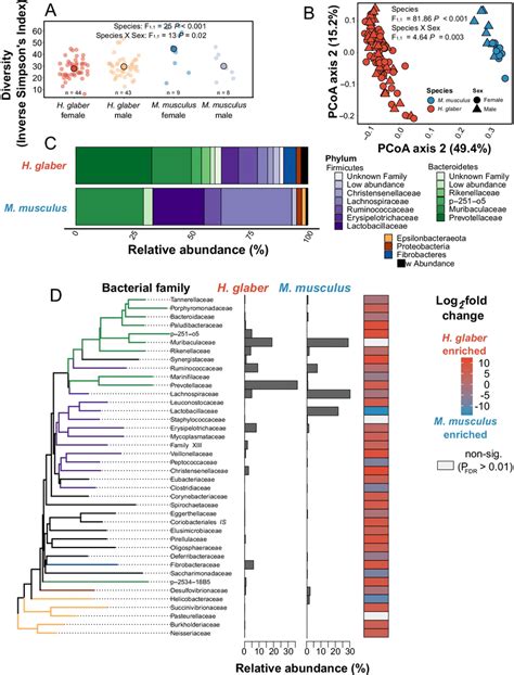 The A Diversity And B Composition Of Gut Bacteria Across Host Species