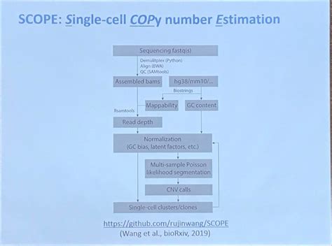 Dna Copy Number Profiling From Bulk Tissue To Single Cells Weiyas