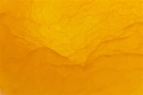 Dried Apricot Texture Shape