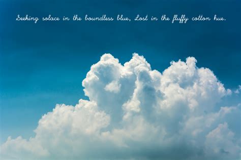 Writing Text On Images Using OpenCV PutText CodeForGeek