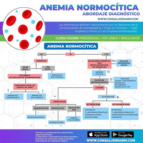 Pin En Hematología