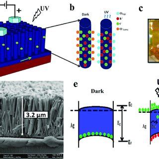 A Schematic Illustration Of The UV Sensor Device B Transport Route Download Scientific
