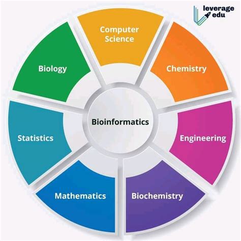 Bioinformatics The Future Of Biological Science And Medicine