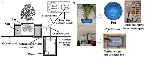 The Hydroponics System Used For Culturing Tangor Cultivar Shiranuhi