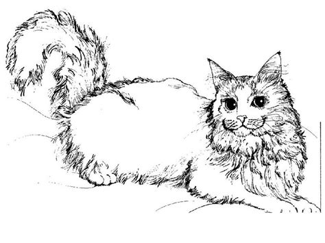 260 Dessins De Coloriage Chat à Imprimer Sur Page 2