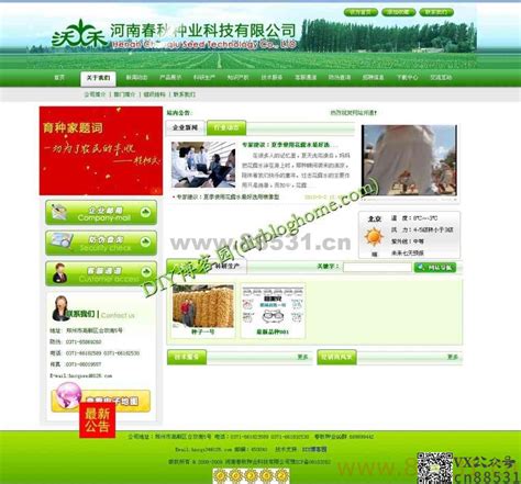 源码：绿色企业公司整站程序 access数据库 软师兄