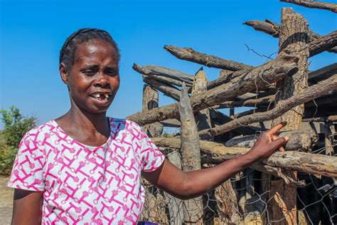 Cultivating Hope How Zambian Smallholder Farmers Are Benefitting From