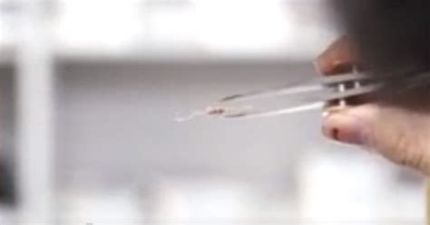Astonishing Video Shows Scientists Making Objects Levitate Using Sound