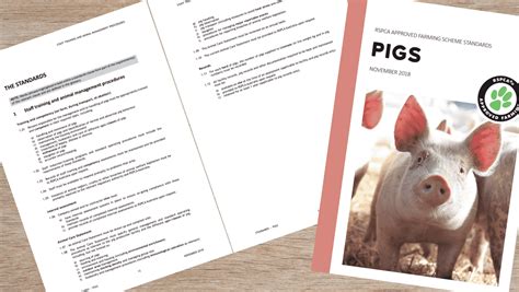 Farming To The Rspcas Standards Rspca Approved