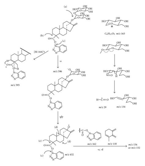 Proposed Fragmentation Pathway Leading To The Generation Of Fragment