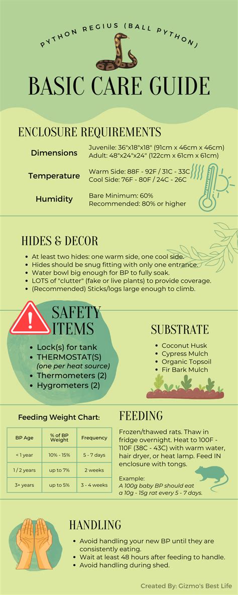 Ball Python Basic Care Rsimpliguide