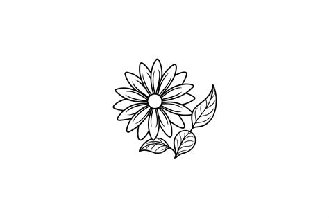 Contorno De Flores De Margarita Para Elementos De Diseño Y Páginas De
