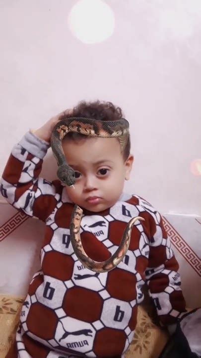 ملك الكوبرا Youtube
