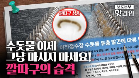 핫라인 수돗물 마시지 마세요이천시 긴급 상수도 시설 점검 Youtube
