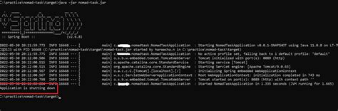Stopping The Nomad Jobs Gracefully Nomad Hashicorp Discuss