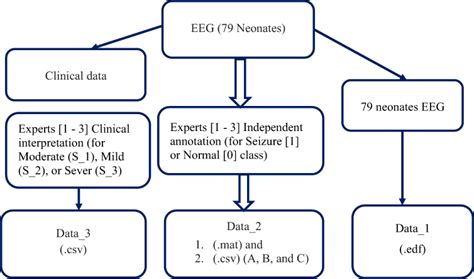 Detection And Severity Identification Of Neonatal Seizure PHMT