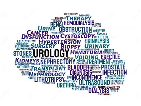 Urology Word Cloud Stock Illustration Illustration Of Urology 349052234