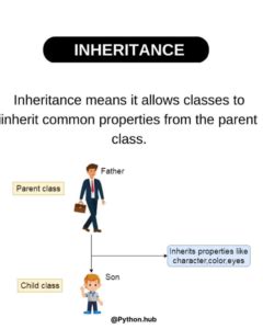 Python Inheritance With Example