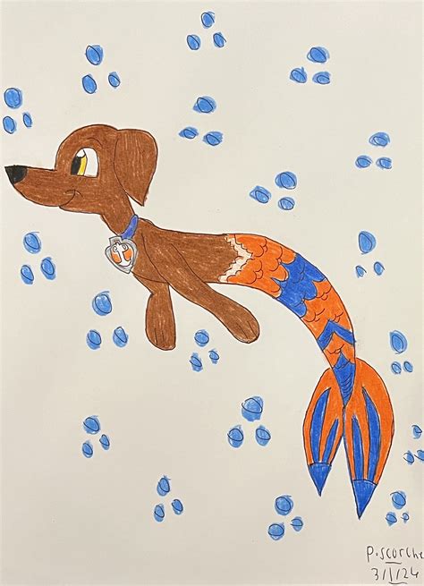 Curious Merpup Zuma By Pirate Scorcher On Deviantart