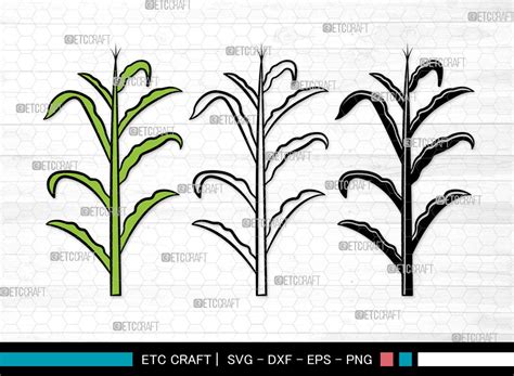 Corn Stalk Svg Corn Stalk Clipart Graphic By Pixel Elites · Creative