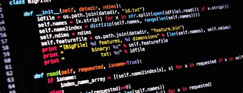 5 Gründe für Python soxes ch