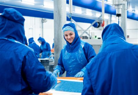 Leroy Seafood Building Ras Facility In Western Norway Rastech