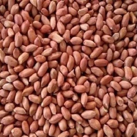 Java 50 60 Groundnut Kernels At Rs 94 Kg Groundnut Seeds In Bikaner