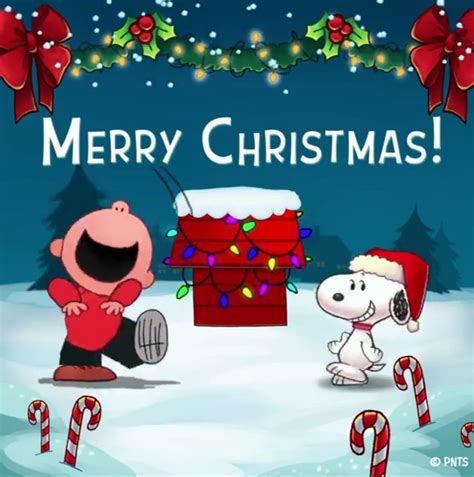 Snoopy Merry Christmas 🎄 Snoopy Christmas Snoopy And Woodstock