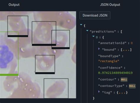 Building A Simple Inference Dashboard With Streamlit