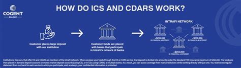 How Businesses Can Minimize Risk With Icscdars Elevate Inc