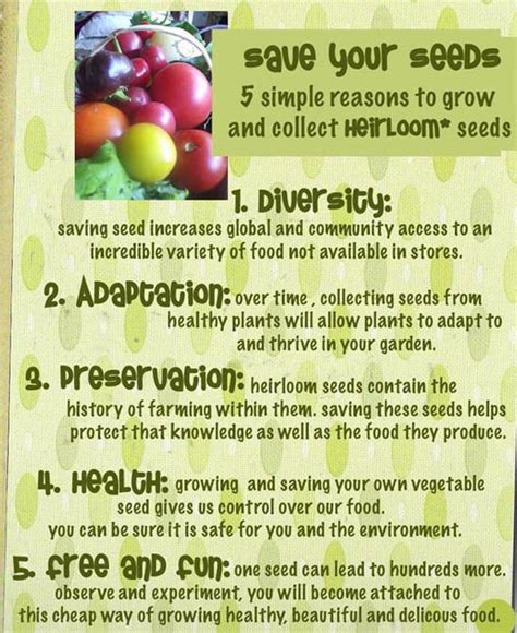 Why Save Seeds Urbantomato