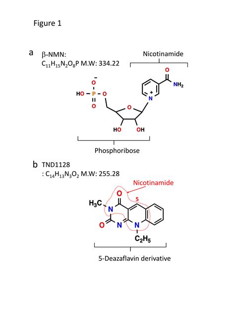 Effects Of Tnd1128 A 5 Deazaflavin Derivative With Self Redox