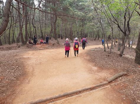 울산 중구 황방산 맨발등산로 새 단장